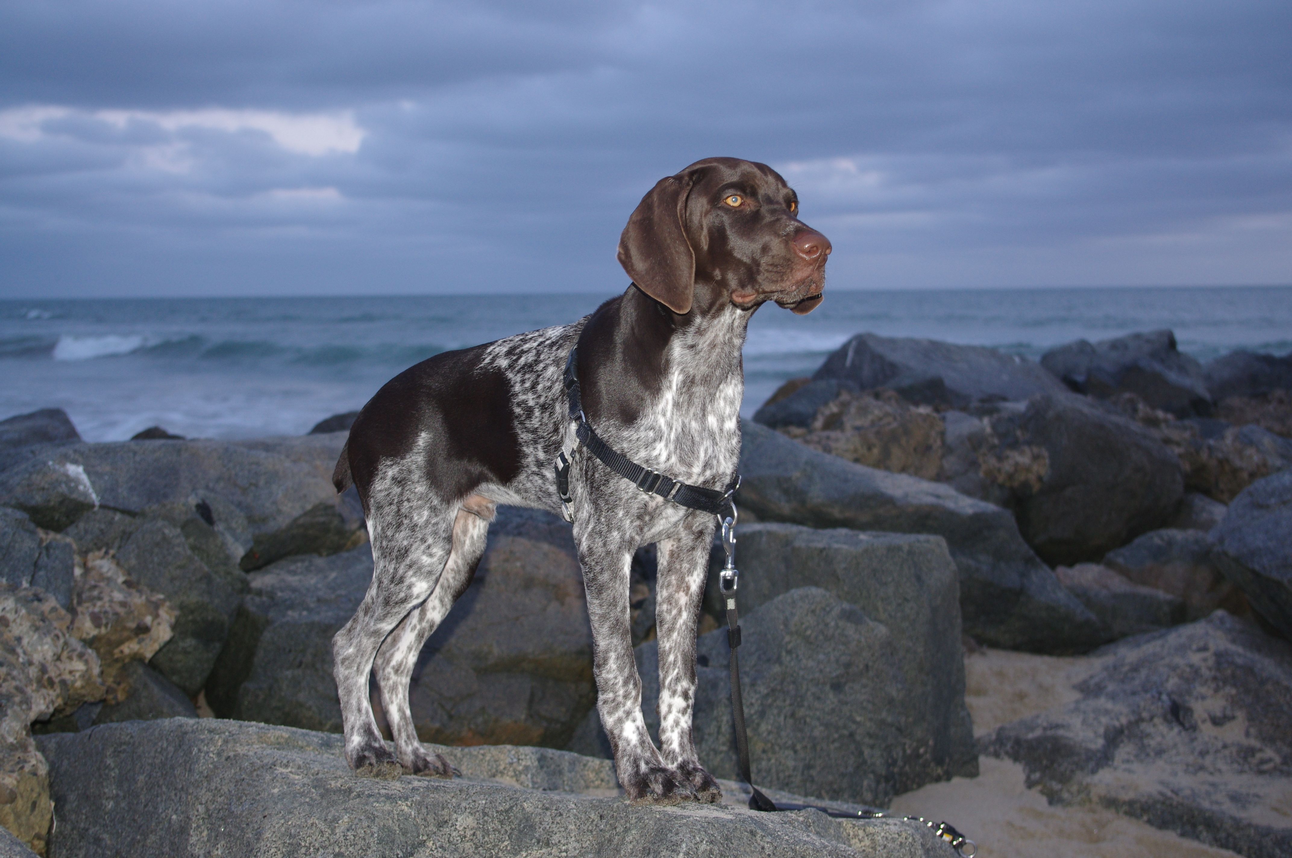 Beausoleil Photo Gallery